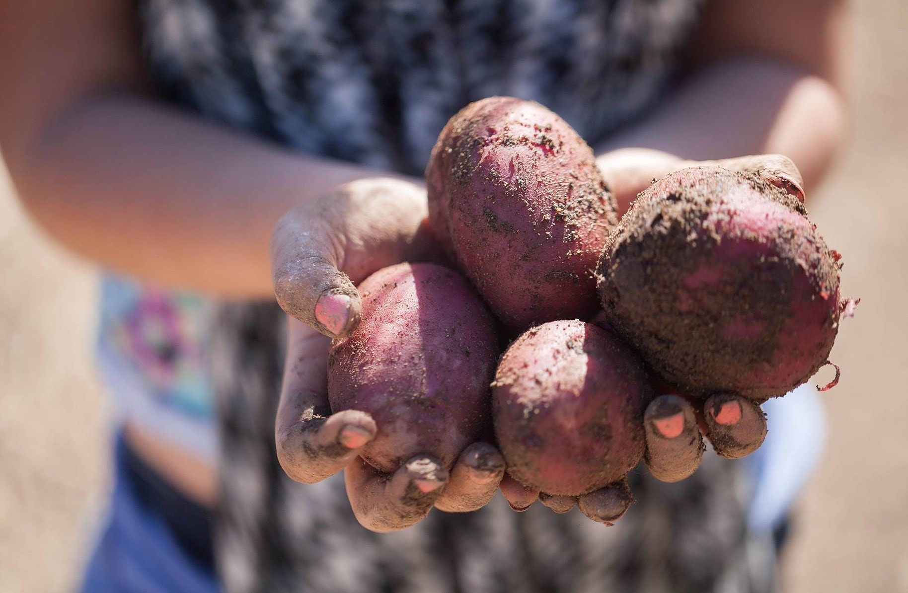 Urban Roots Garden Classrooms - Pathways to STEM Nevada